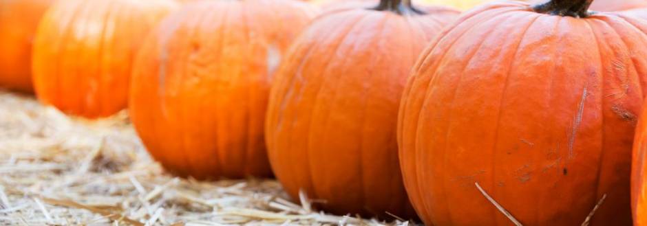 9 Fabulous Fall Things to Do for a Perfect Vacation on Oak Island, NC ...