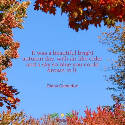 7 Marvelous Fall Quotes for a Wonderful Oak Island Season