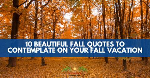10 Fall Quotes to Remember During Your Autumn Getaway