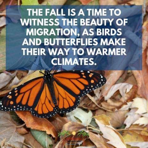 10 Beautiful Fall Quotes to Contemplate on Your Fall Vacation | Better ...